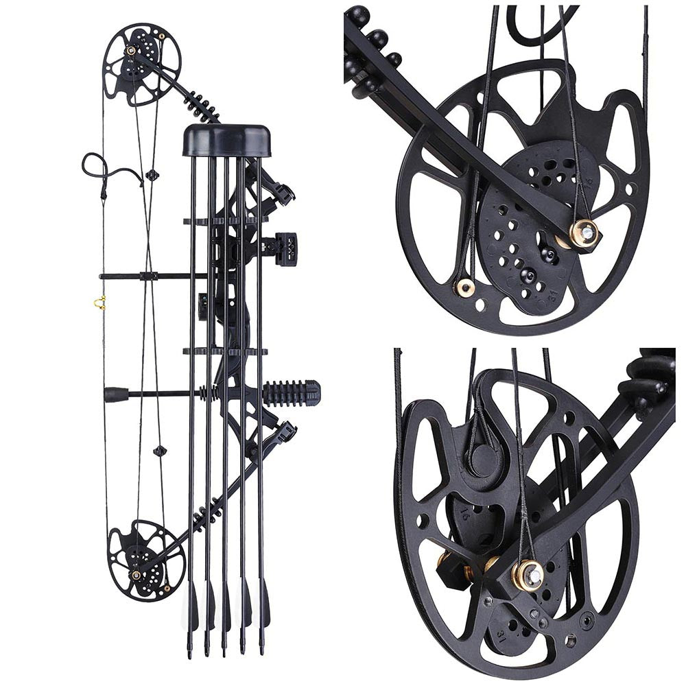 TheLAShop Archery Right Hand Compound Bow Set w/ 12 Carbon Arrows ...